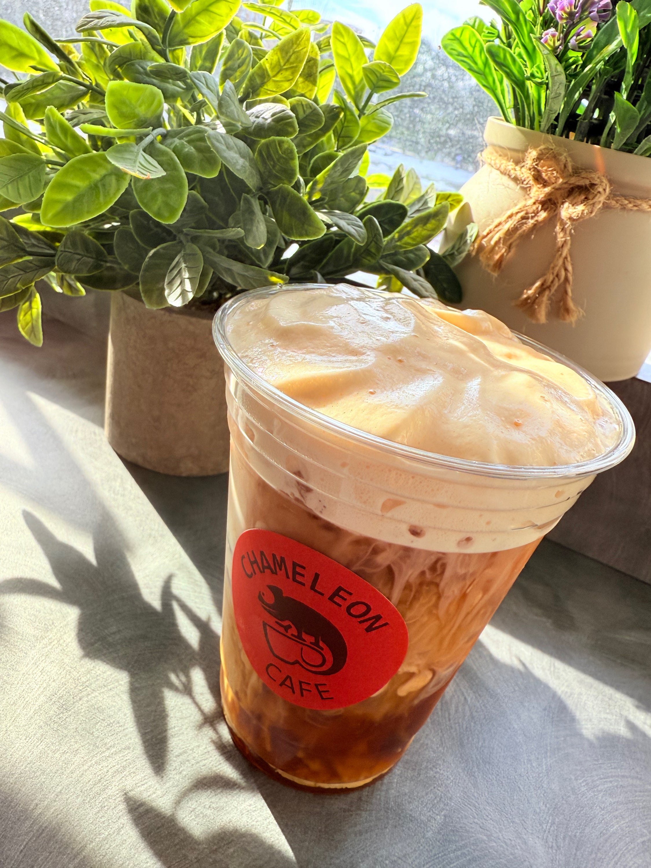 Hazelnut & Cream Coldbrew | Chameleon Cafe Akron